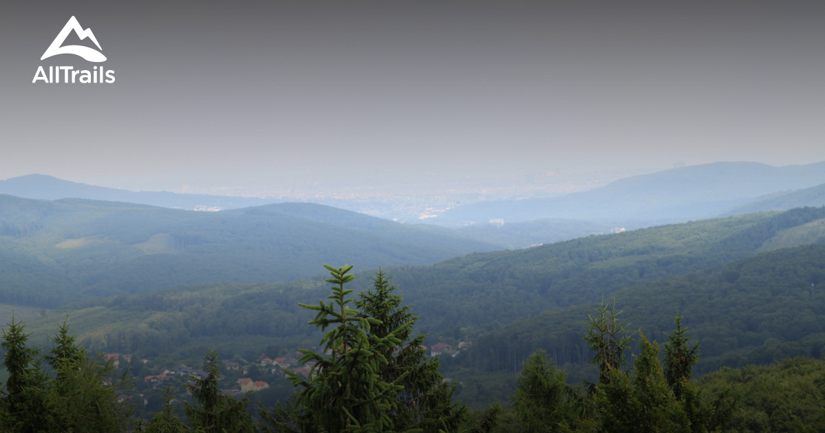 Best hikes and trails in Gablitz | AllTrails