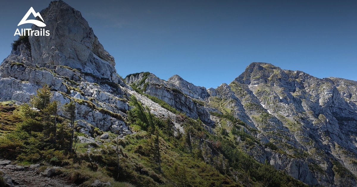 Best Forest Trails in Gaming | AllTrails