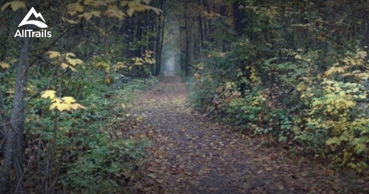 Best hikes and trails in Matzen-Raggendorf | AllTrails