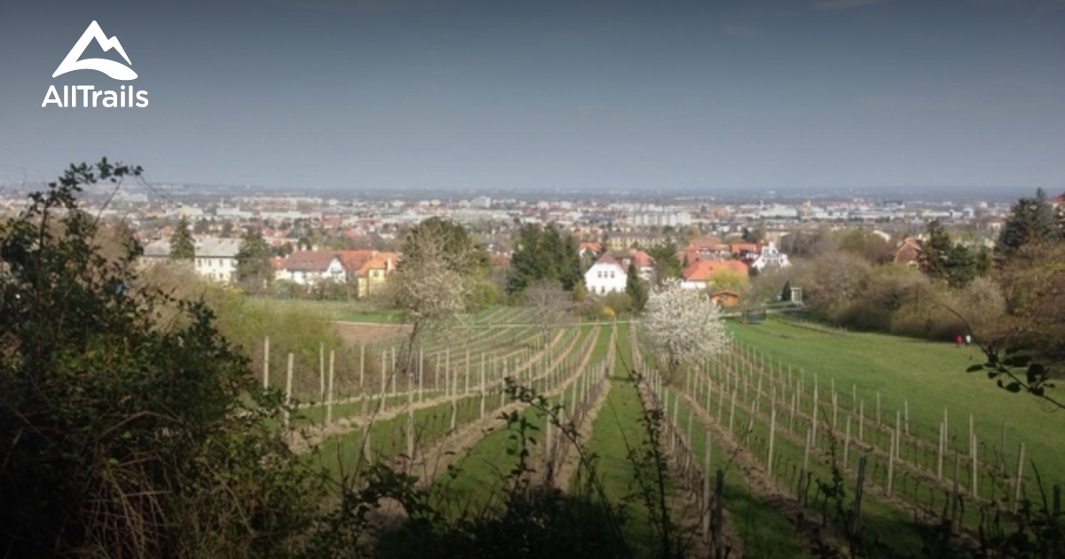10 Best Trails, Walks, and Paths in Mödling | AllTrails