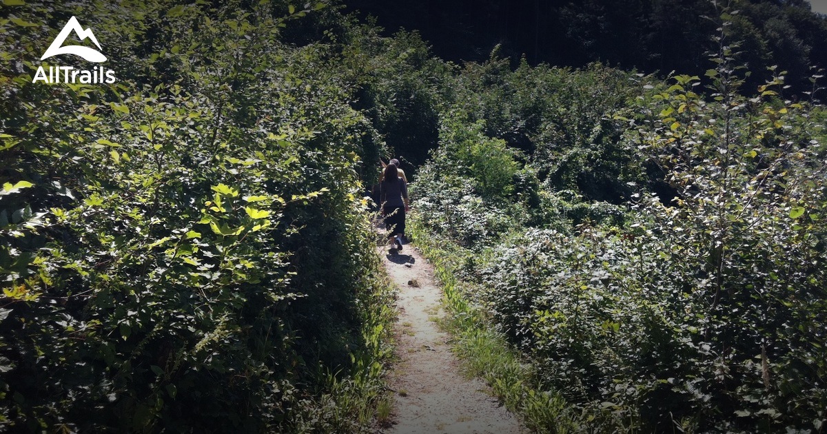 Best moderate trails in St. Andrä-Wördern | AllTrails