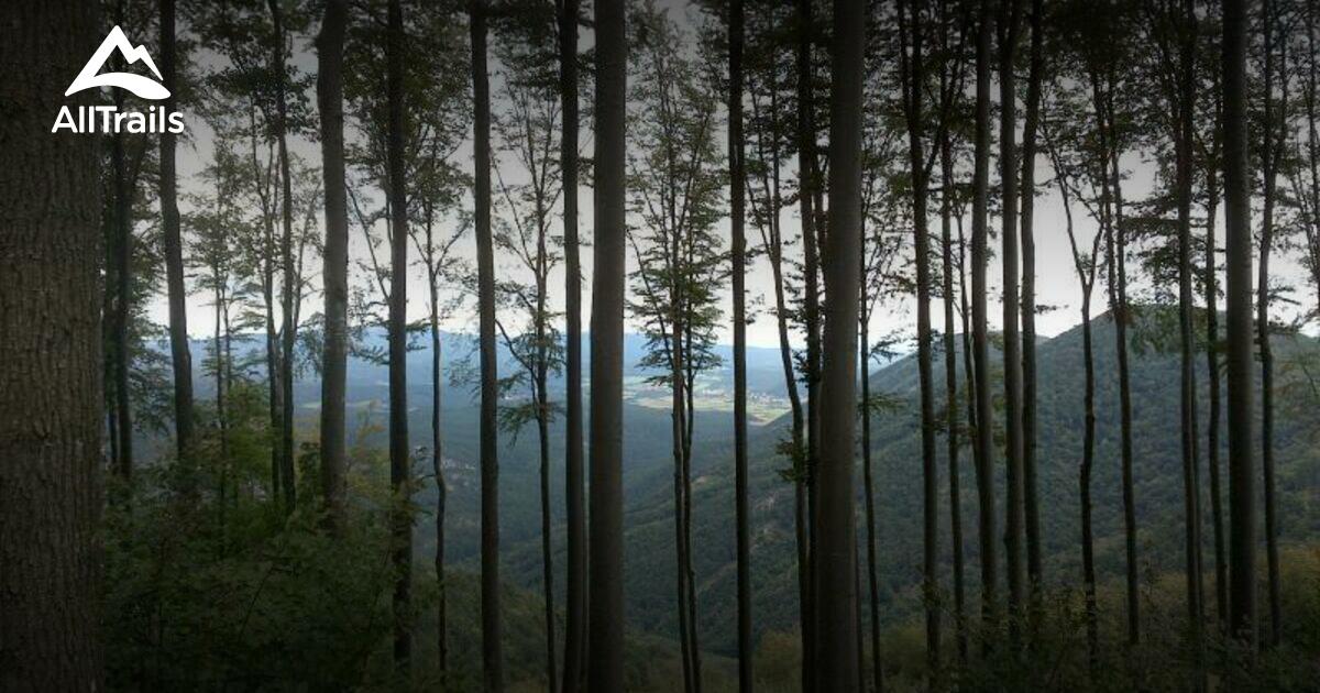 Best moderate trails in Waldegg | AllTrails