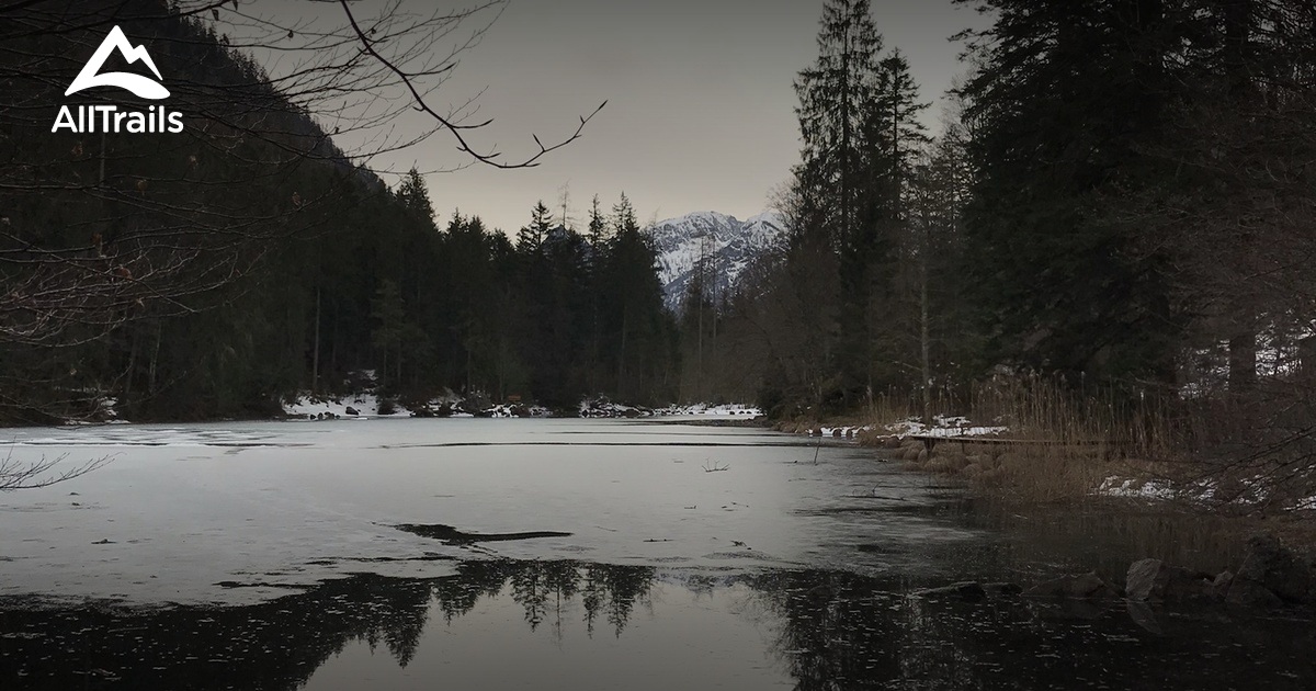 2023 Best 10 Forest Trails in Unken | AllTrails