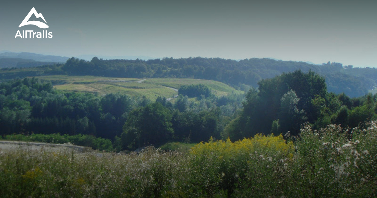 Ehrenhausen an der Weinstraße: Die schönsten Routen zum Wandern | AllTrails