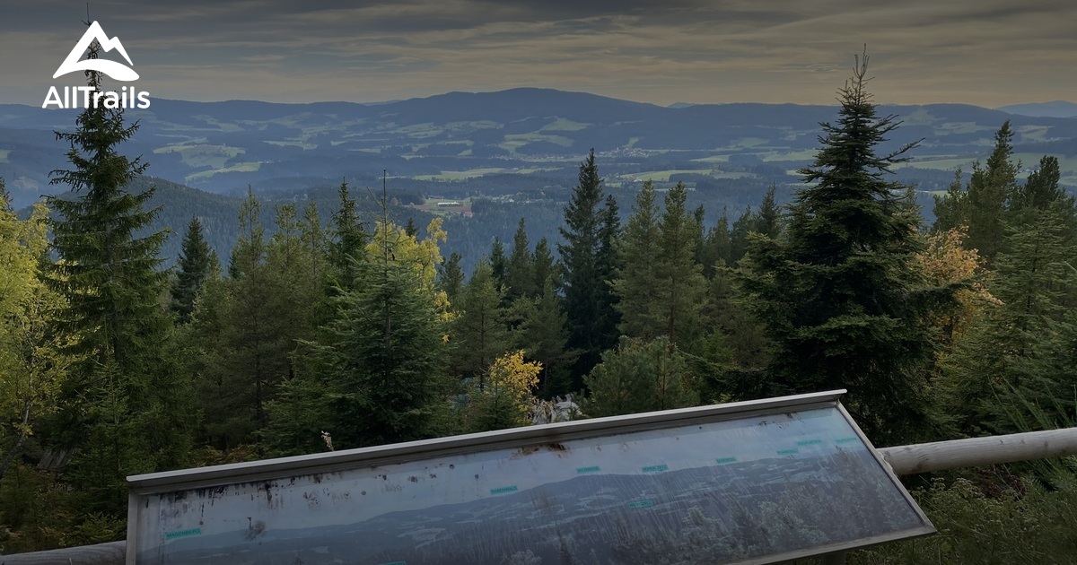 Best hikes and trails in Sankt Jakob im Walde | AllTrails