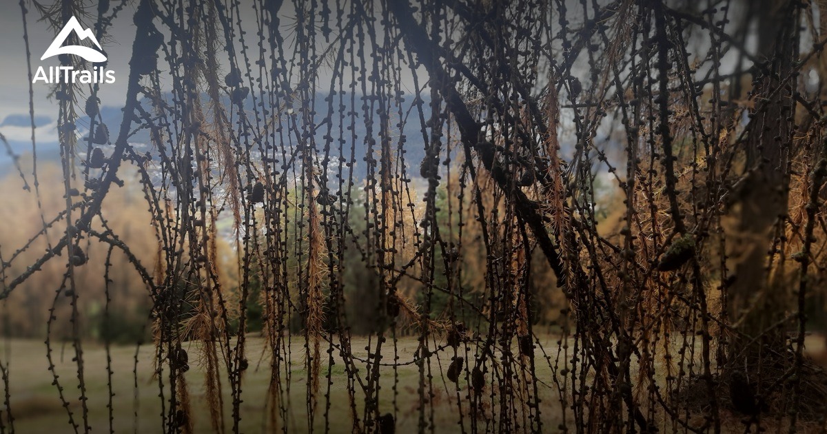 Best hikes and trails in Arzl im Pitztal | AllTrails