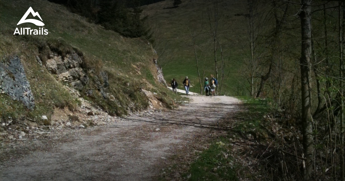 Best short trails in Erl | AllTrails