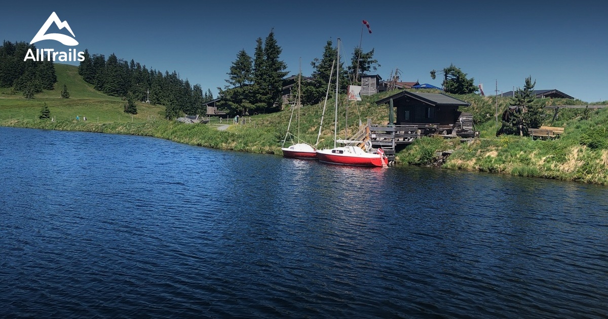 10 Best trails and hikes in Söll | AllTrails