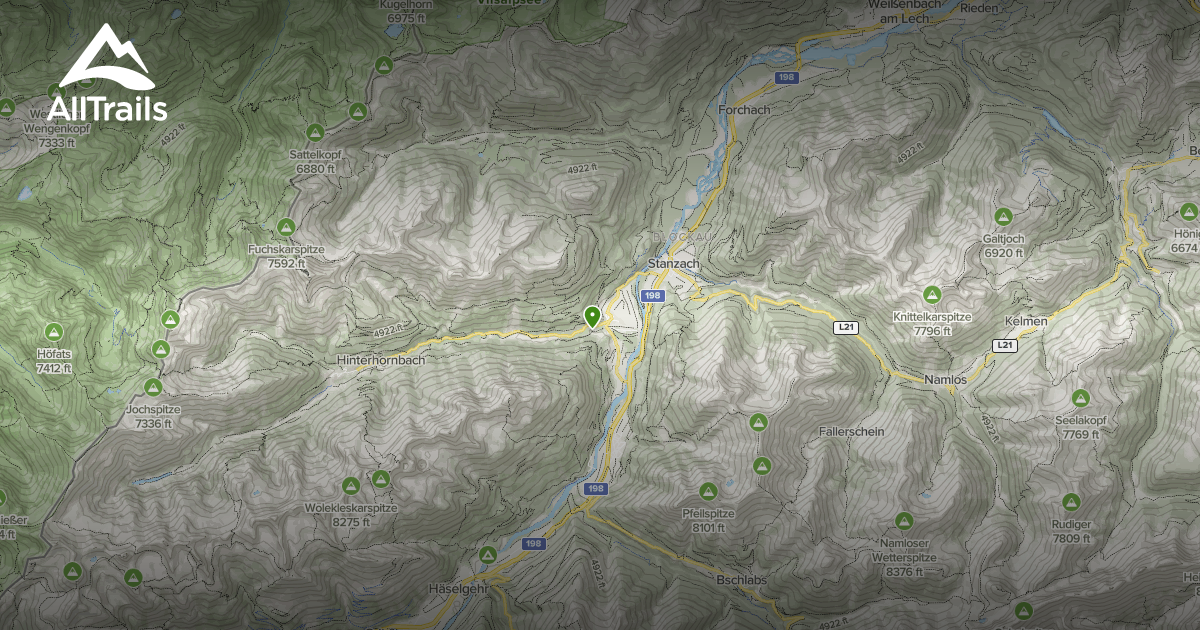 Bedste ruter med vilde blomster i Vorderhornbach | AllTrails