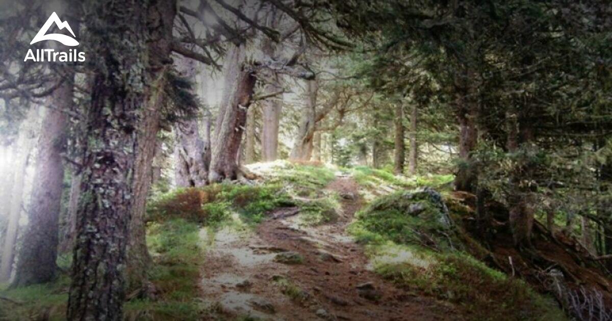 Best hikes and trails in Wattenberg | AllTrails