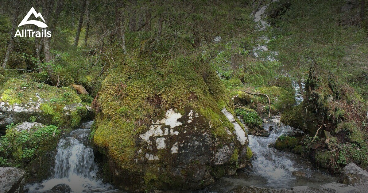 10 Best trails and hikes in Gosau | AllTrails