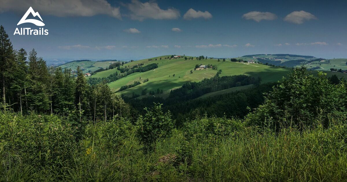 Best Historic Site Trails in St. Ulrich bei Steyr | AllTrails