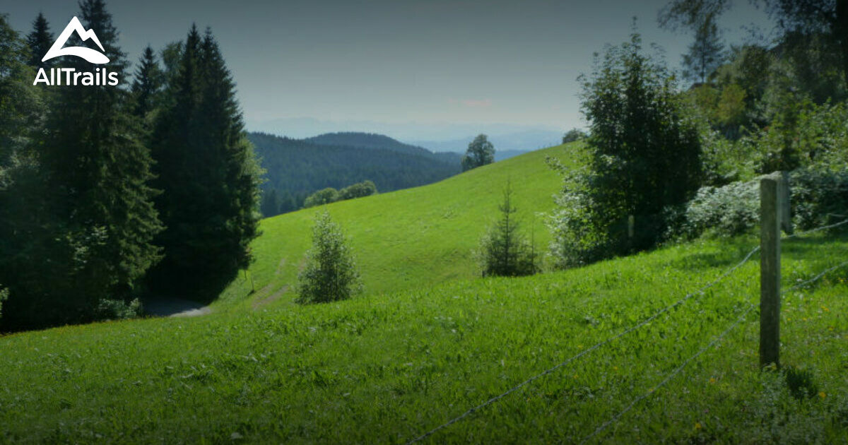 Best hikes and trails in Eichenberg | AllTrails