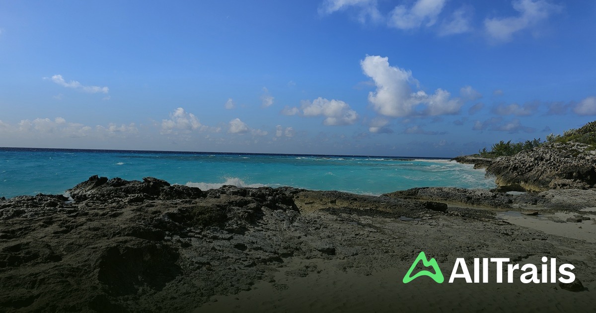 Best hikes and trails in Half Moon Cay | AllTrails