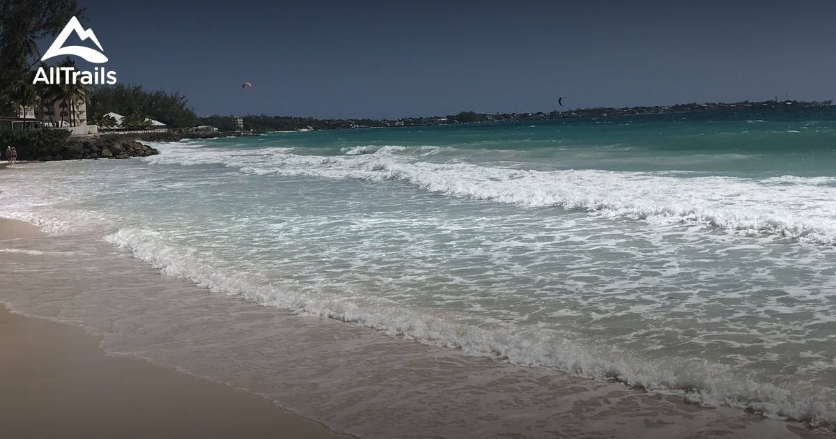 Best forest trails in Lemon Arbour | AllTrails