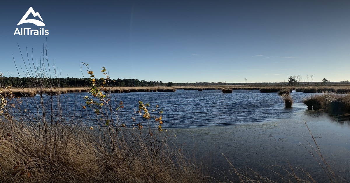 Melhores trilhos para trail running em Essen | AllTrails