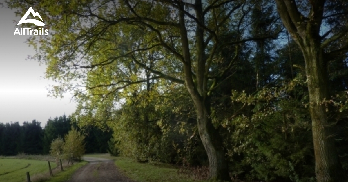 Laakdal: Die 10 schönsten Routen zum Wandern | AllTrails