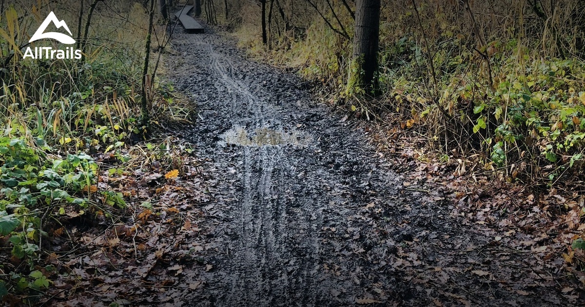 Best easy trails in Niel | AllTrails