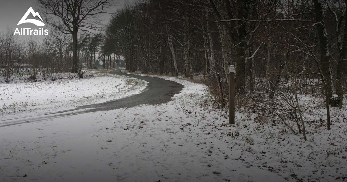 10 Best trails and hikes in Wuustwezel | AllTrails