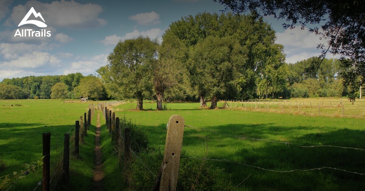 Best Historic Site Trails in Aalst | AllTrails