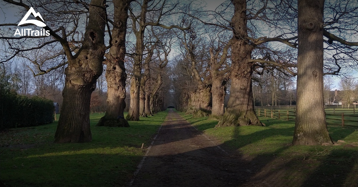 10 Best trails and hikes in Lievegem | AllTrails