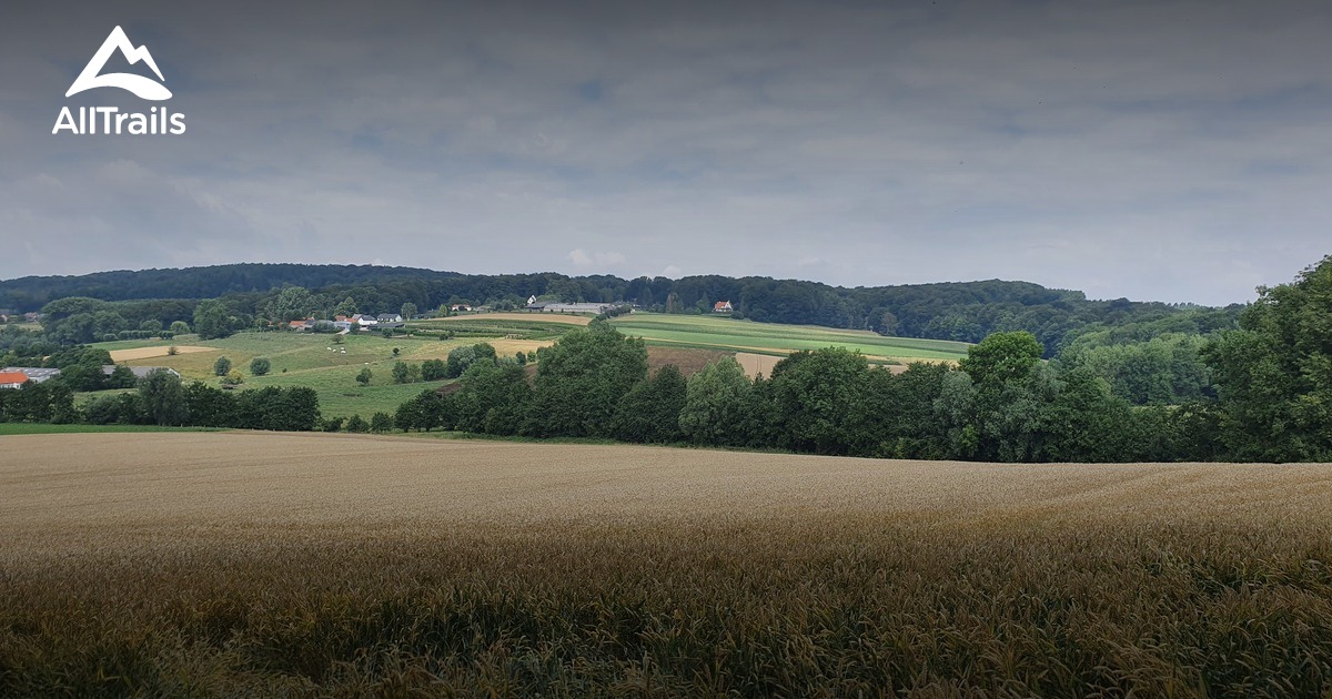 De beste wandelroutes om te wandelen in Maarkedal | AllTrails