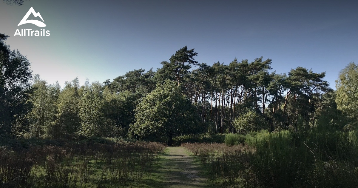 Best moderate trails in Wachtebeke | AllTrails