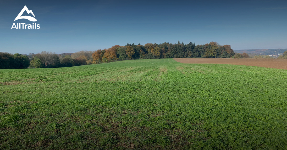 10 Best Trails, Walks, and Paths in Beersel | AllTrails
