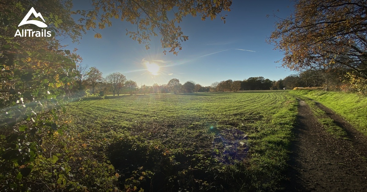 10 Best trails and hikes in Rotselaar | AllTrails