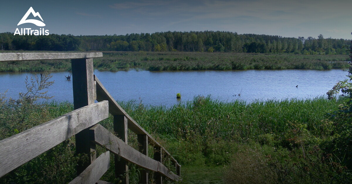 Los mejores senderos fácilesen Zoutleeuw | AllTrails