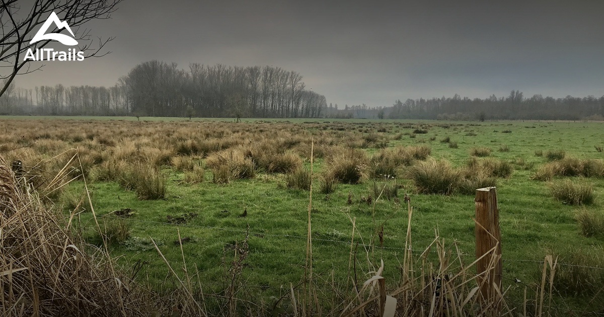 Los mejores senderos fácilesen Bernissart | AllTrails