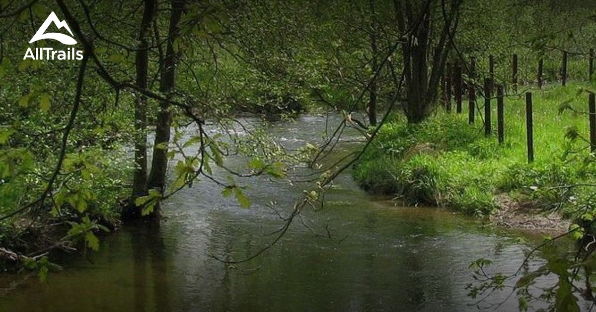 Best hikes and trails in Amblève | AllTrails