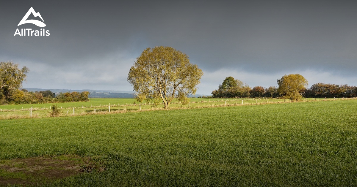 Hamoir : les meilleures randonnées longues | AllTrails