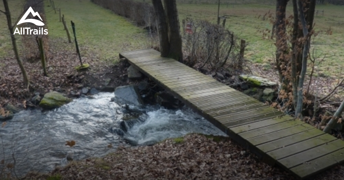 De 10 beste wandelroutes om te wandelen in Lierneux | AllTrails