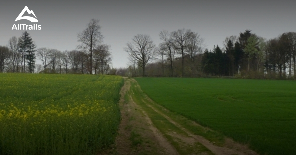 Najlepsze łatwe szlaki w: Marchin | AllTrails