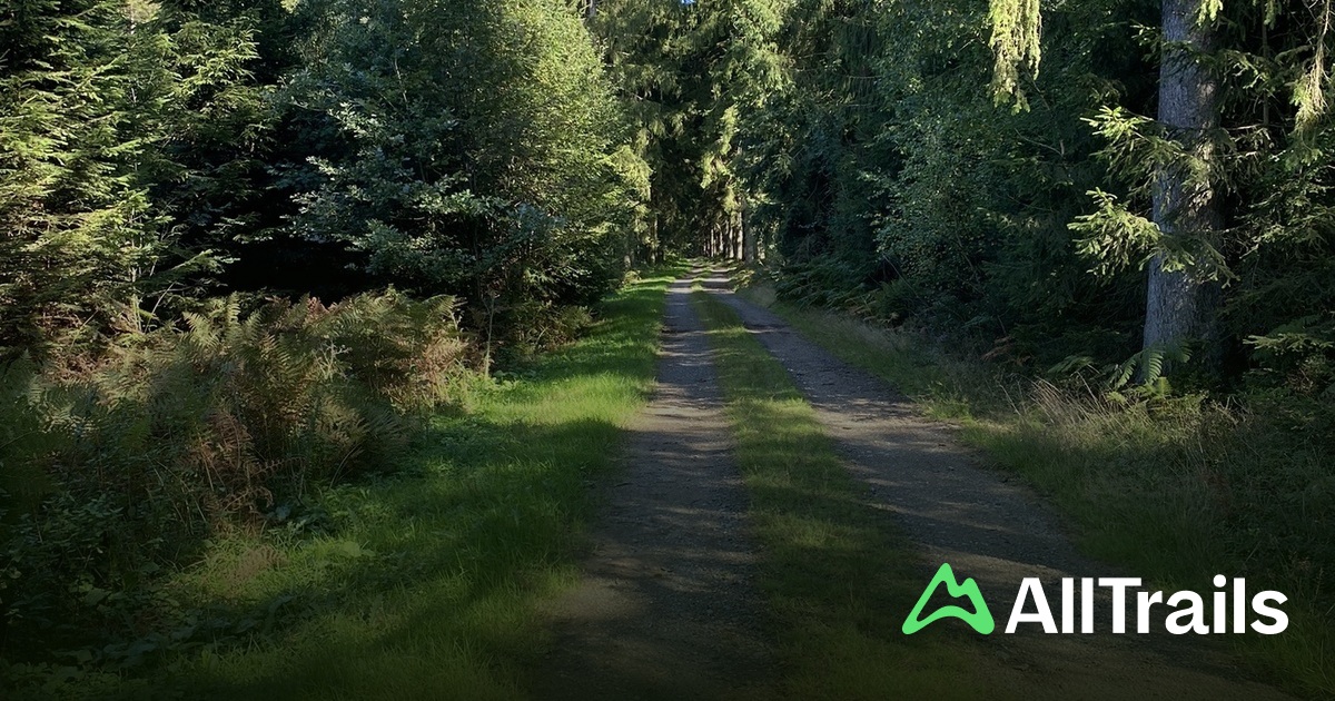Los mejores senderos y rutas en Recht | AllTrails