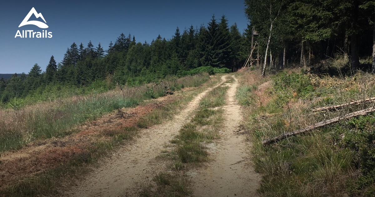 10 Best trails and hikes in Sankt Vith | AllTrails