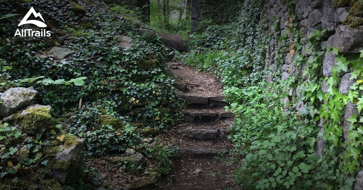 Sprimont : les 10 meilleures randonnées avec site historique | AllTrails