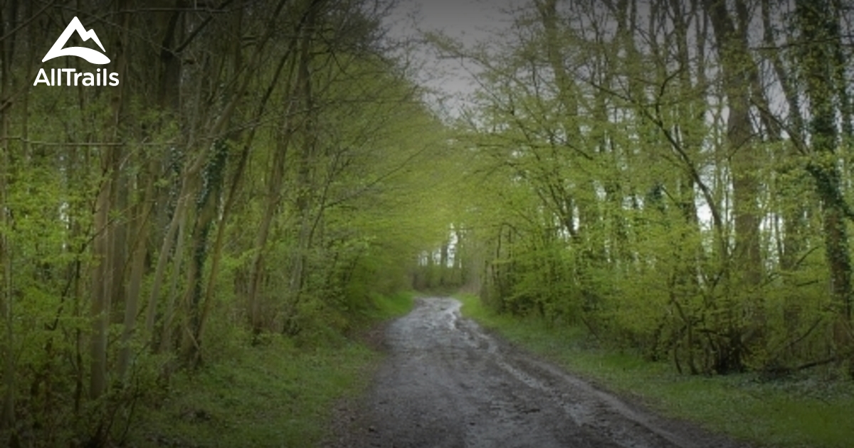 Best Hikes and Trails in Tavier | AllTrails