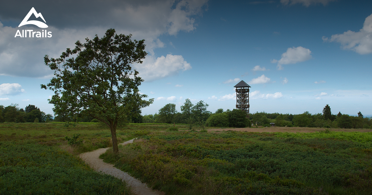 10 Best waterfall trails in Theux | AllTrails