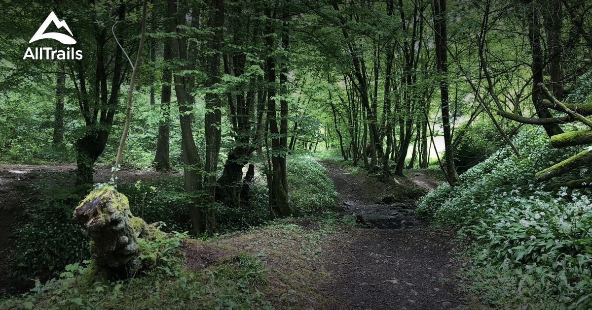 De 10 beste wandelroutes om te wandelen in Trooz | AllTrails