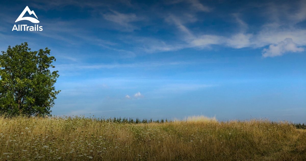 Gingelom : les meilleurs itinéraires avec fleurs sauvages | AllTrails
