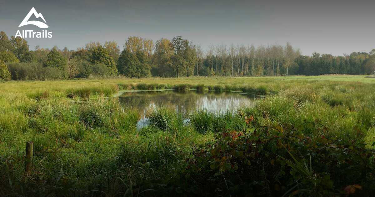 Best views trails in Kinrooi | AllTrails