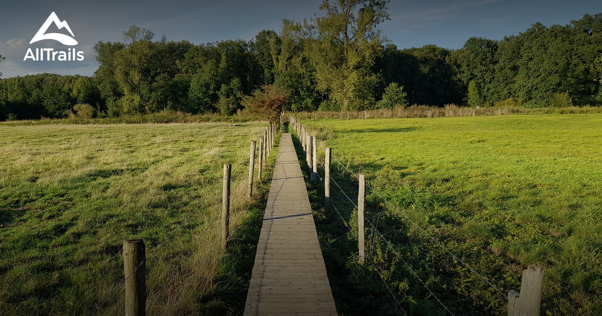 10 Best forest trails in Kortessem | AllTrails