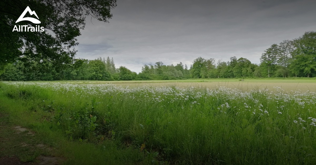 Best bird watching trails in Lummen | AllTrails