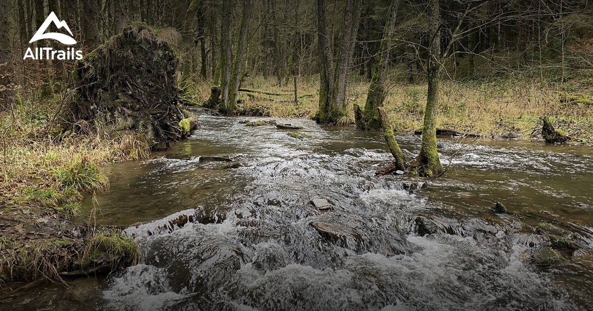 De 10 beste wandelroutes om te wandelen in Bertrix | AllTrails