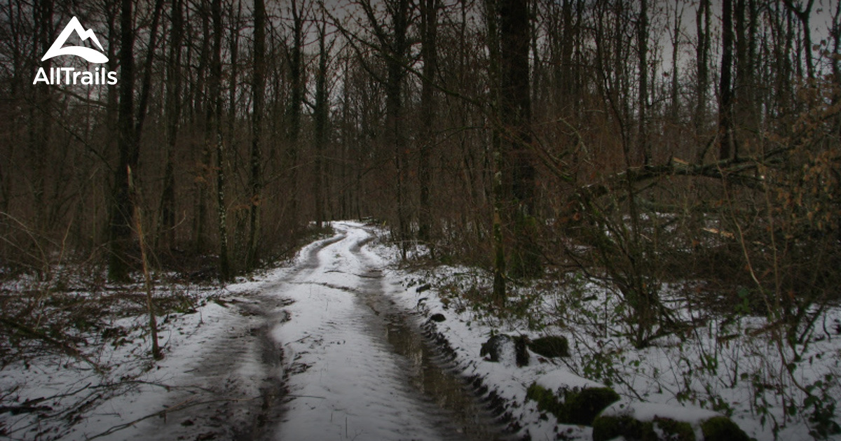 Habay : les meilleures randonnées faciles | AllTrails