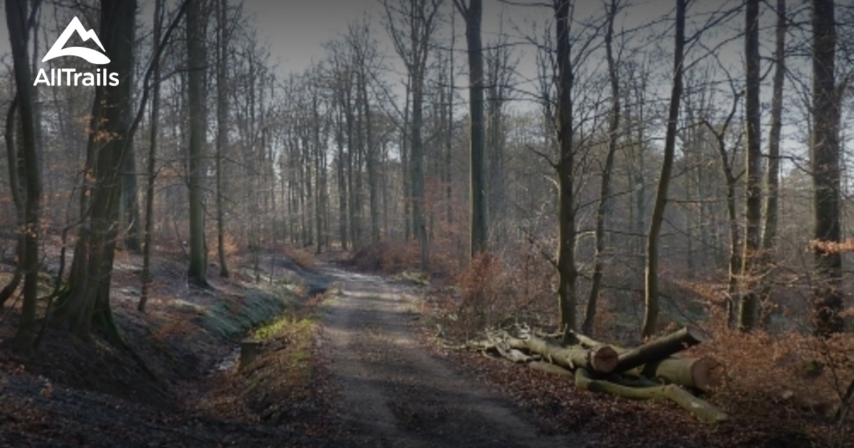 10 Best long trails in Hotton | AllTrails