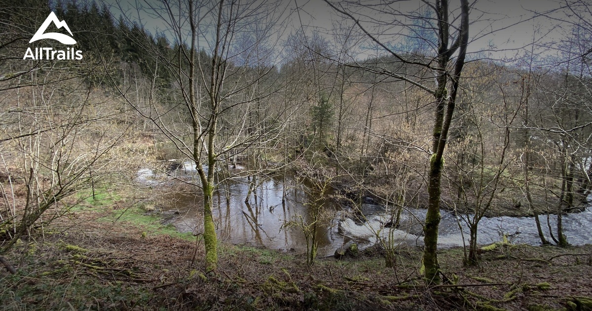 10 Best trails and hikes in Houffalize | AllTrails