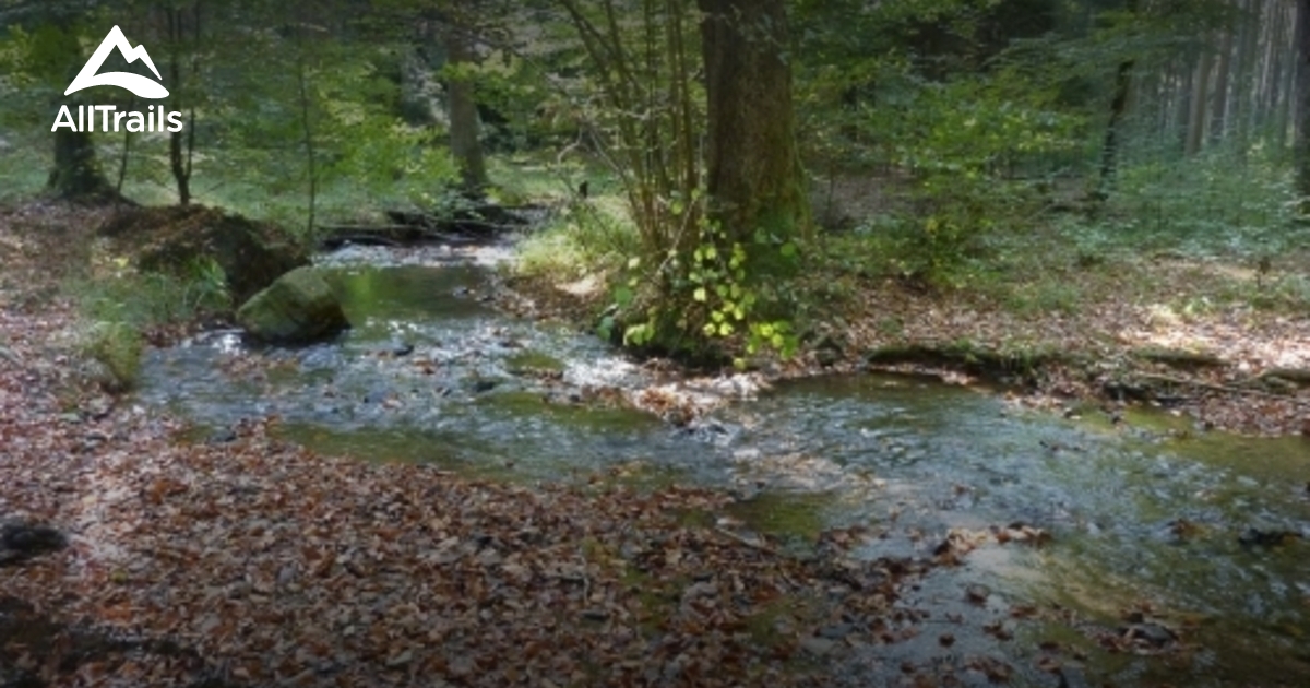 Die Besten Spaziergänge in Manhay | AllTrails